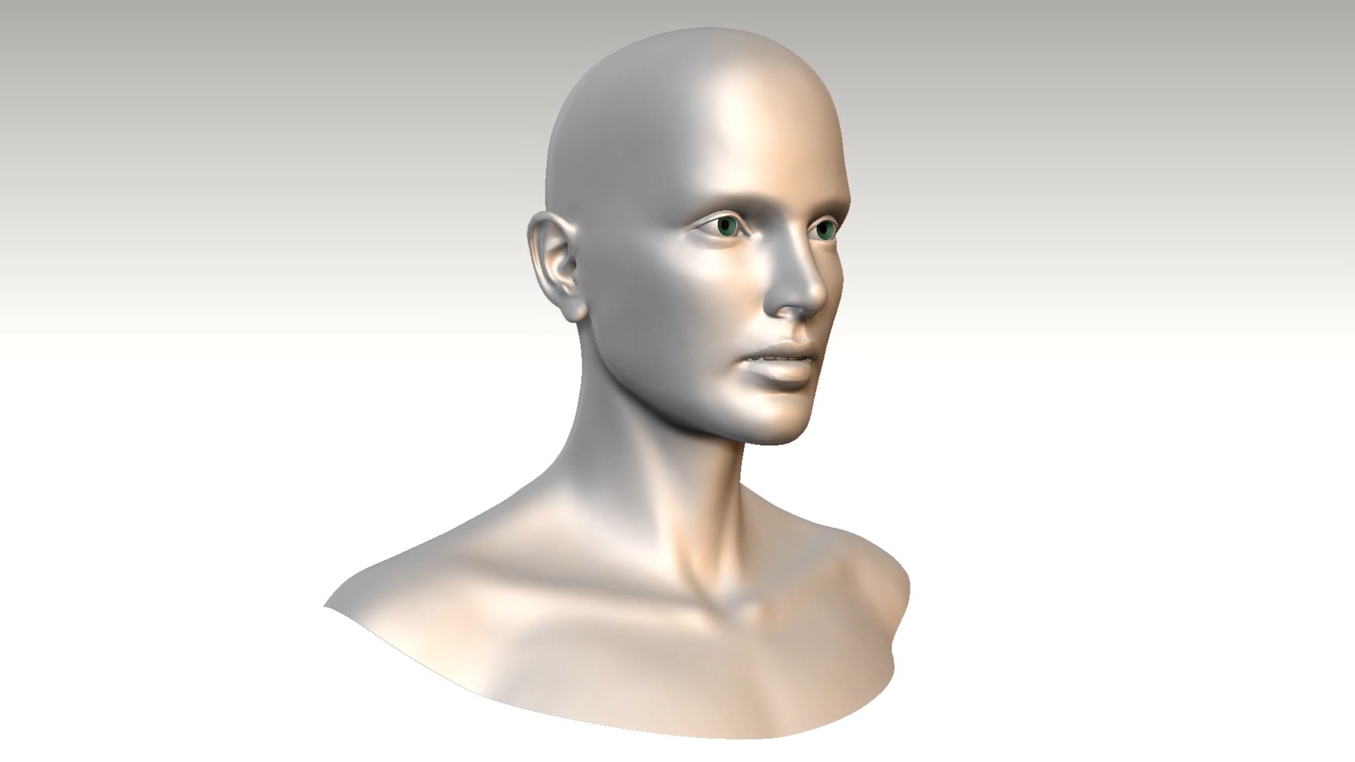 character bust basemesh pack 3d model