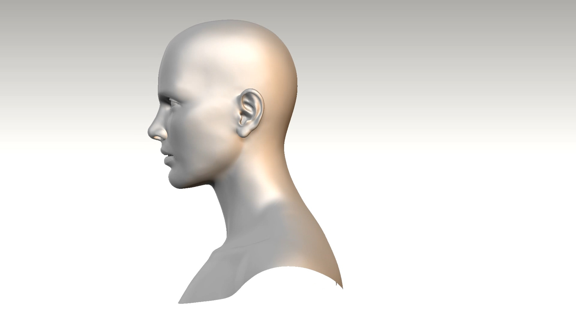 character bust basemesh pack 3d model