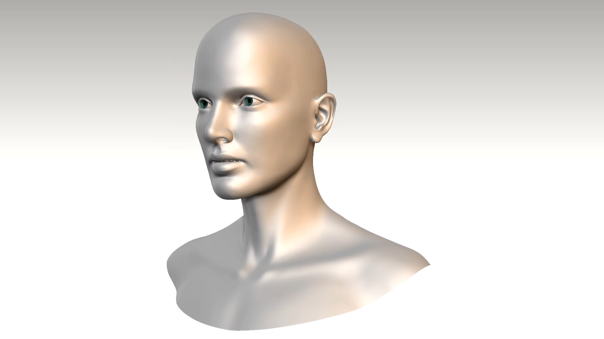 character bust basemesh pack 3d model