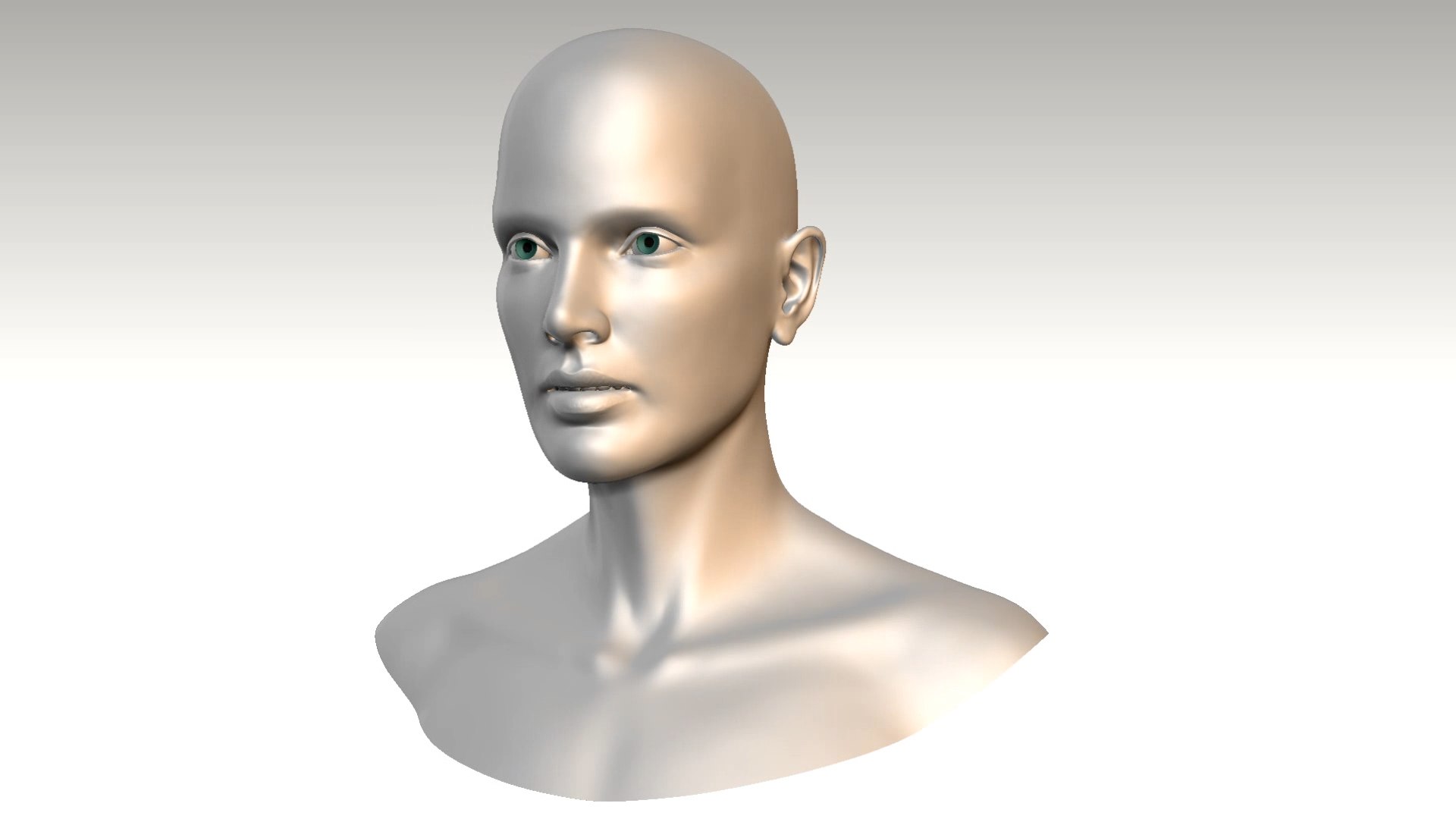 character bust basemesh pack 3d model