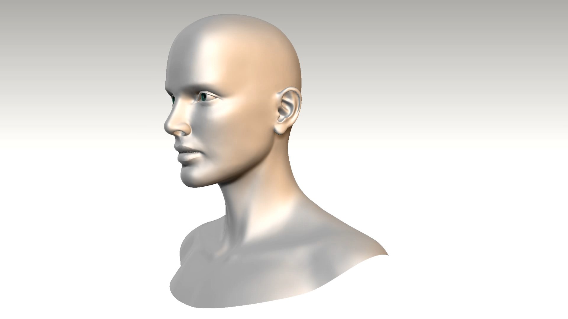 character bust basemesh pack 3d model