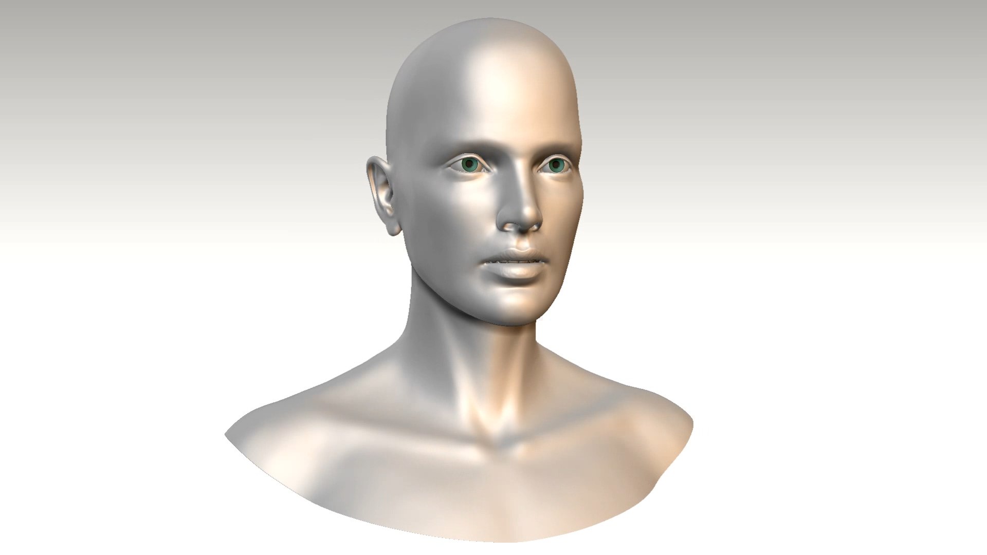 character bust basemesh pack 3d model