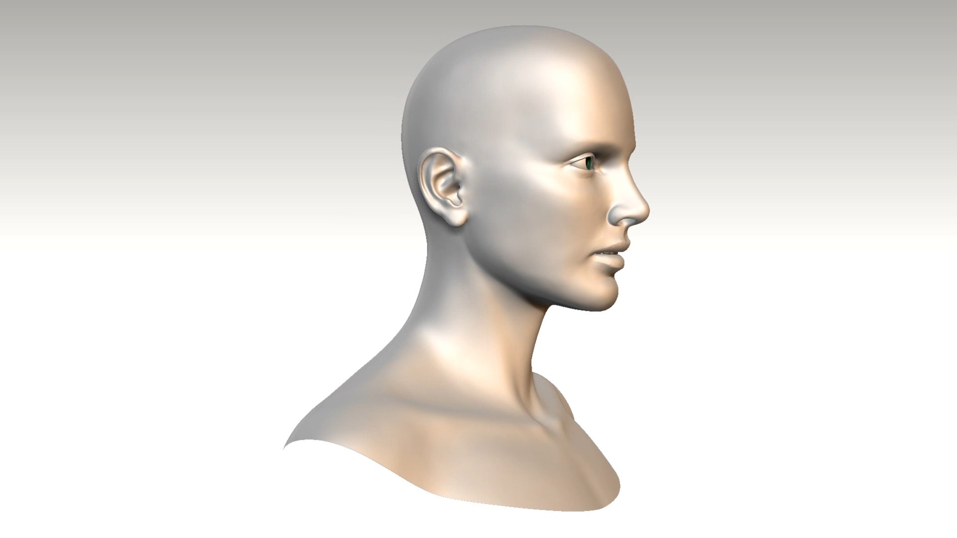 character bust basemesh pack 3d model