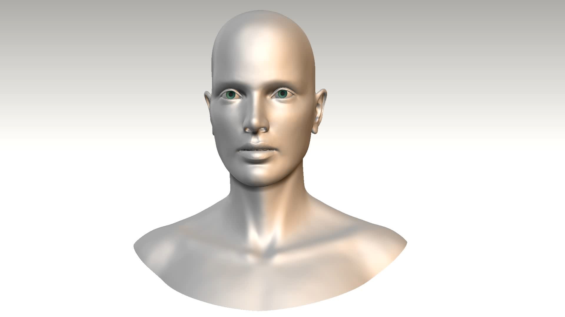 character bust basemesh pack 3d model