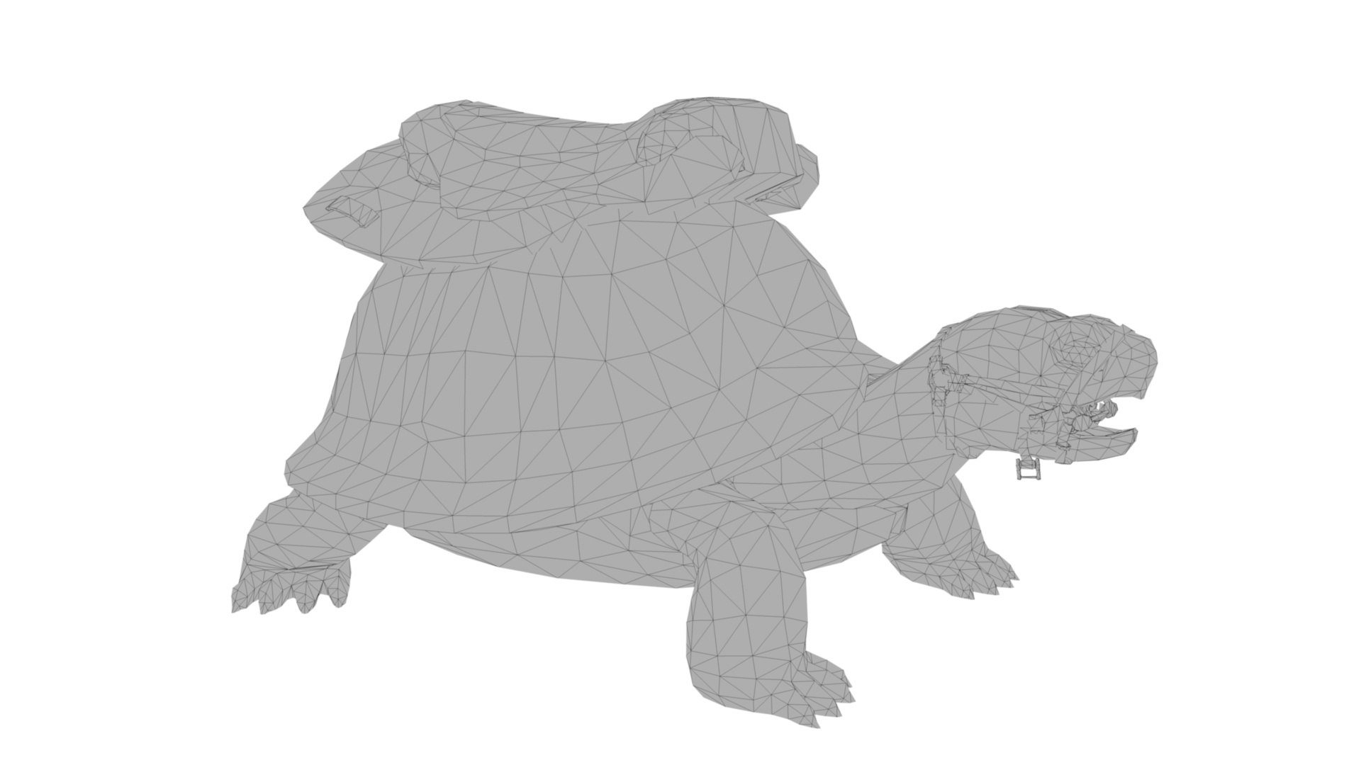 Tortoise 3D Model - TurboSquid 1951620