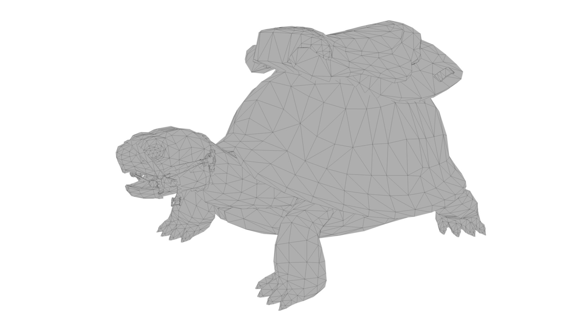 Tortoise 3D Model - TurboSquid 1951620