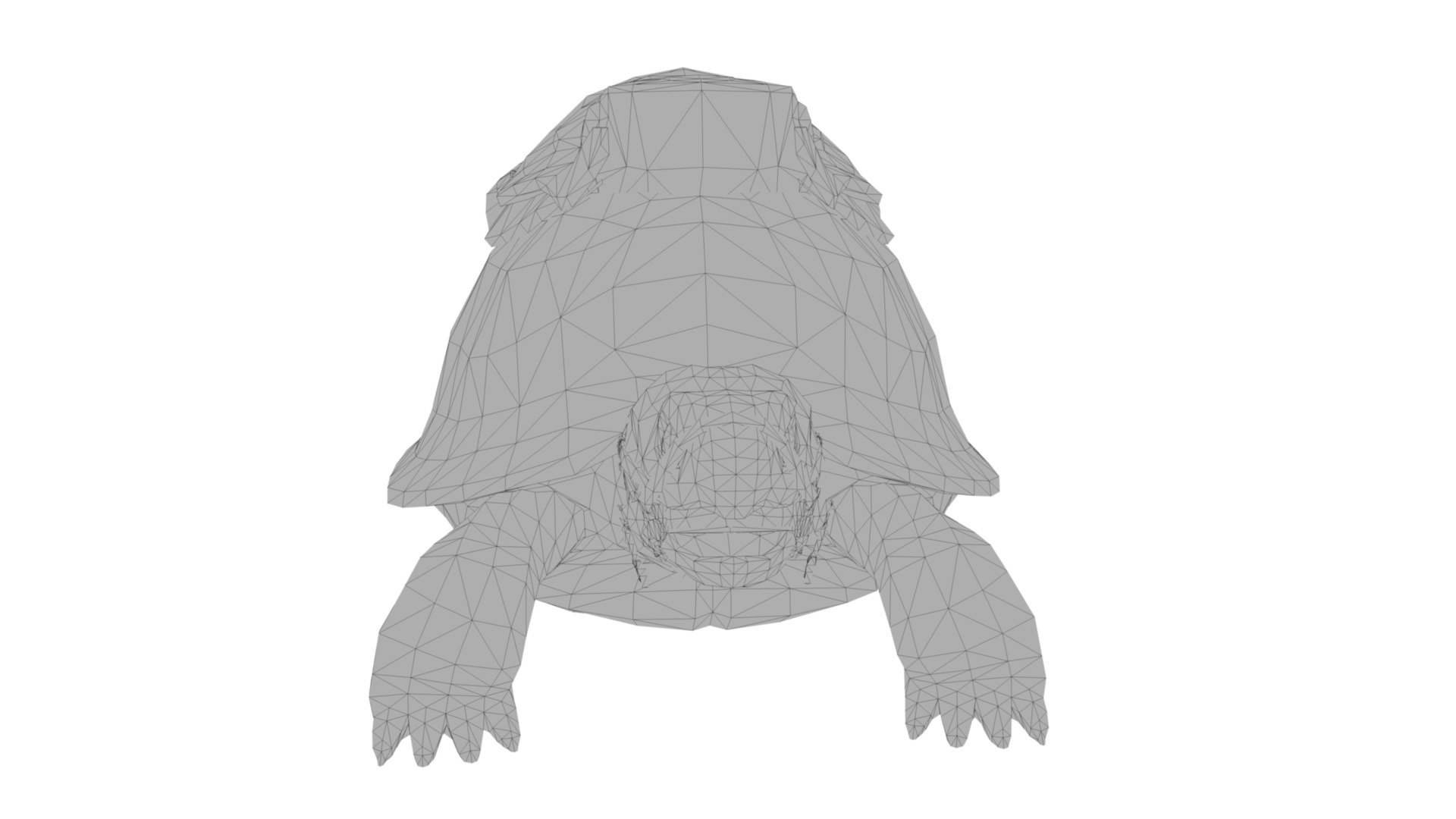Tortoise 3D Model - TurboSquid 1951620