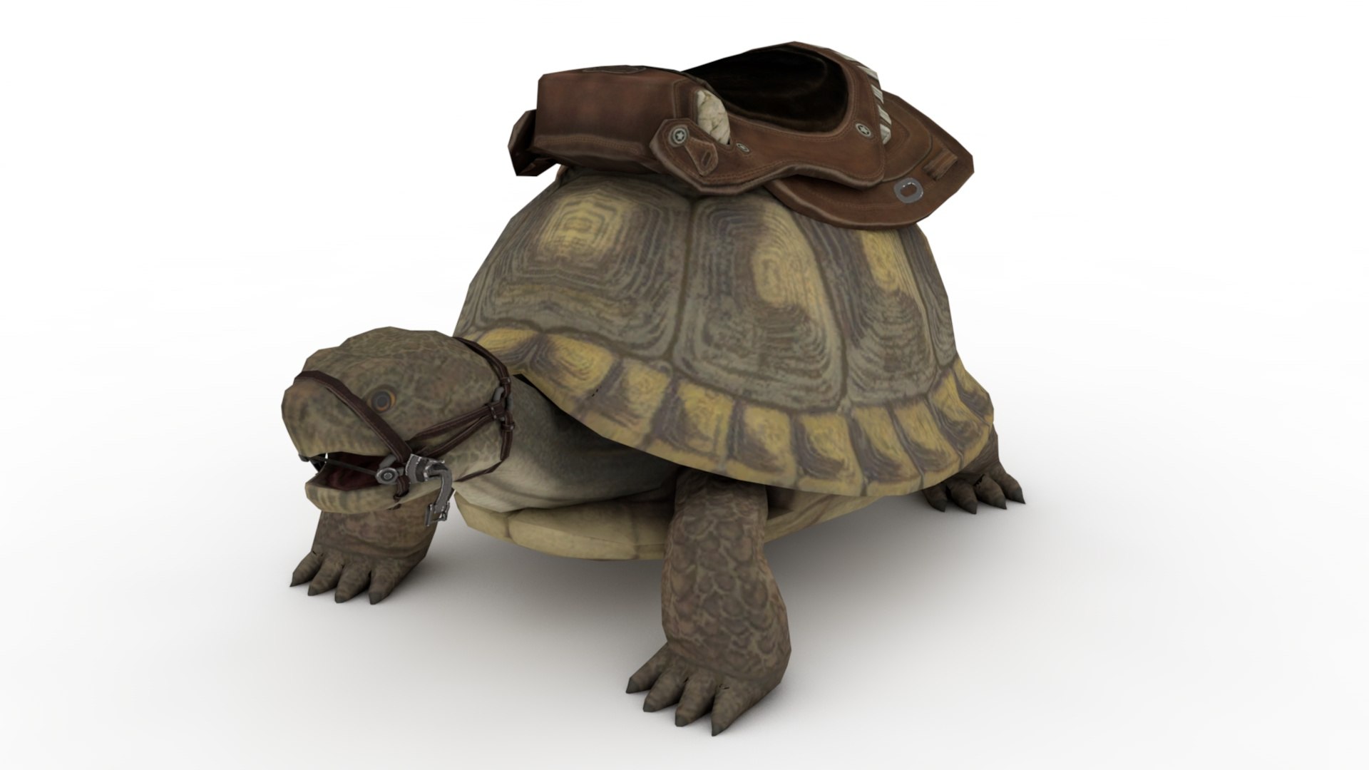 Tortoise 3D Model - TurboSquid 1951620