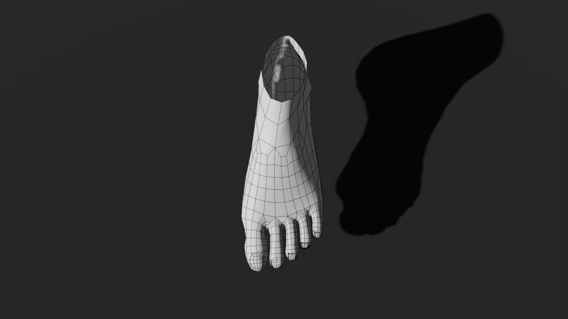 3D Basic Low Poly Foot - TurboSquid 2125444