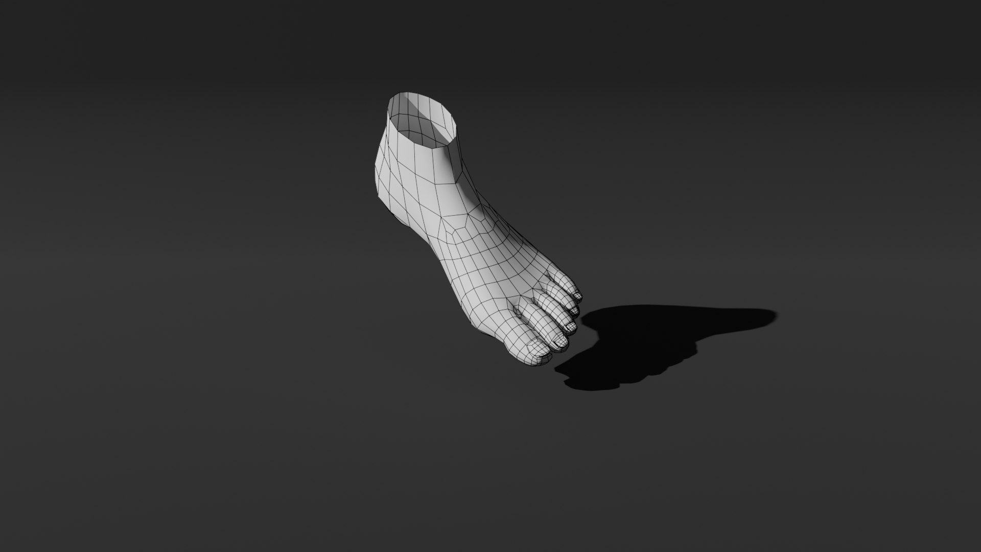 3D Basic Low Poly Foot - TurboSquid 2125444