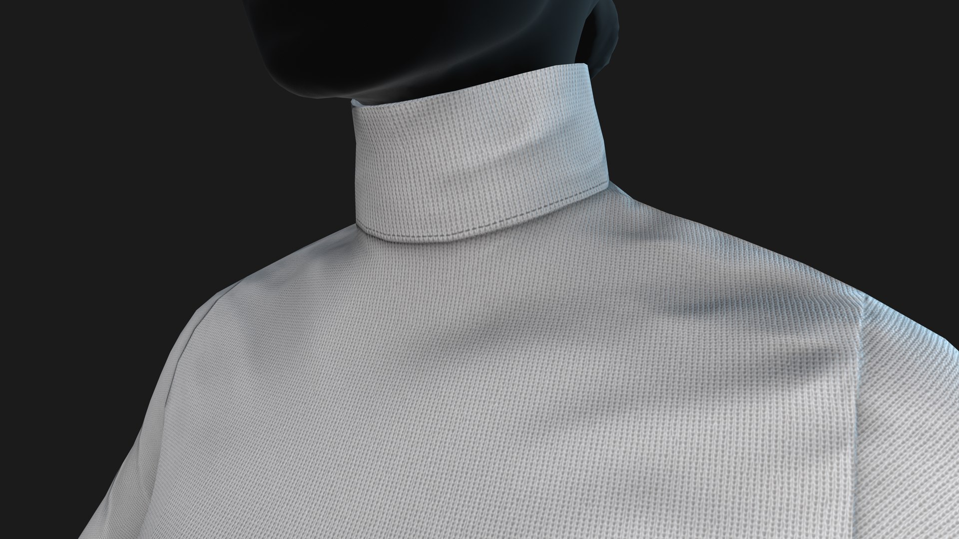 3D White Turtle Neck Pull Top - TurboSquid 2175673