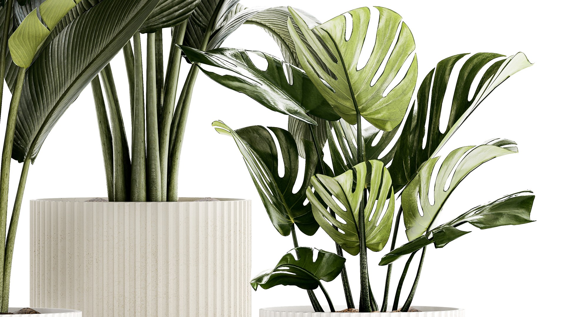 PLANTS Set 06112023 3D MAX 2015 3D Model - TurboSquid 2148493