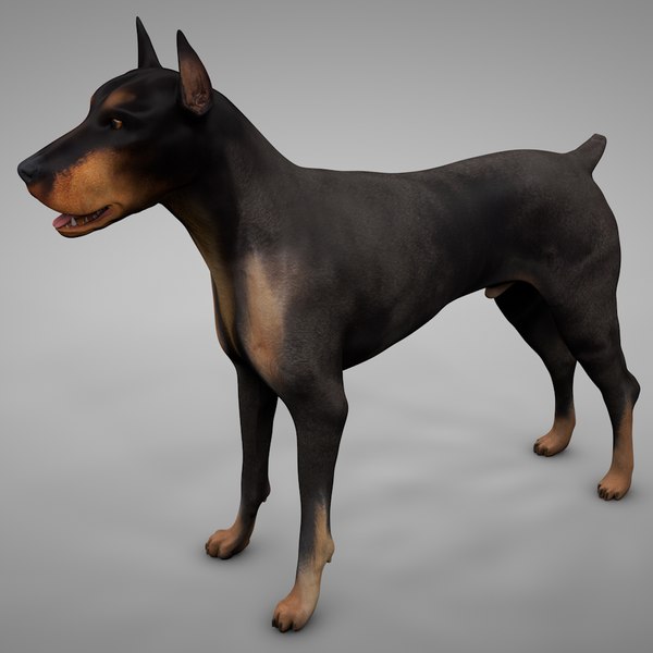 Doberman 3D Models for Download | TurboSquid