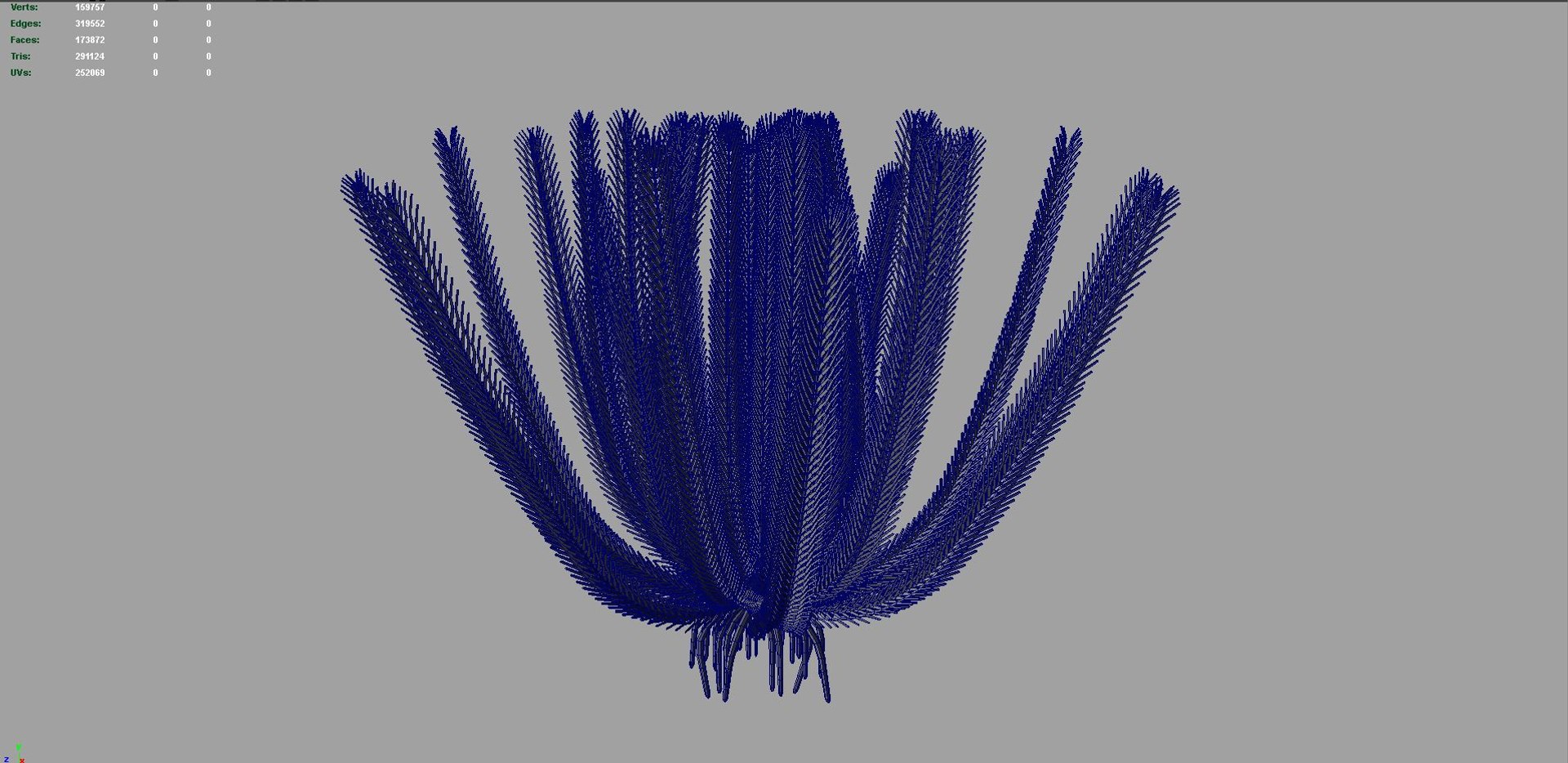 Crinoids Feather Stars Ma