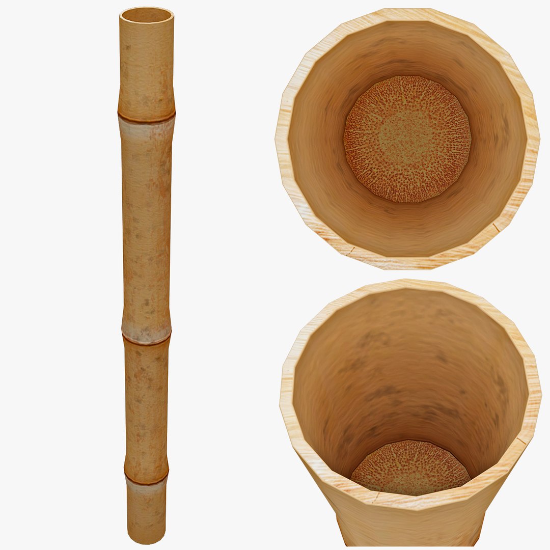 Bamboo Stem 3d Model