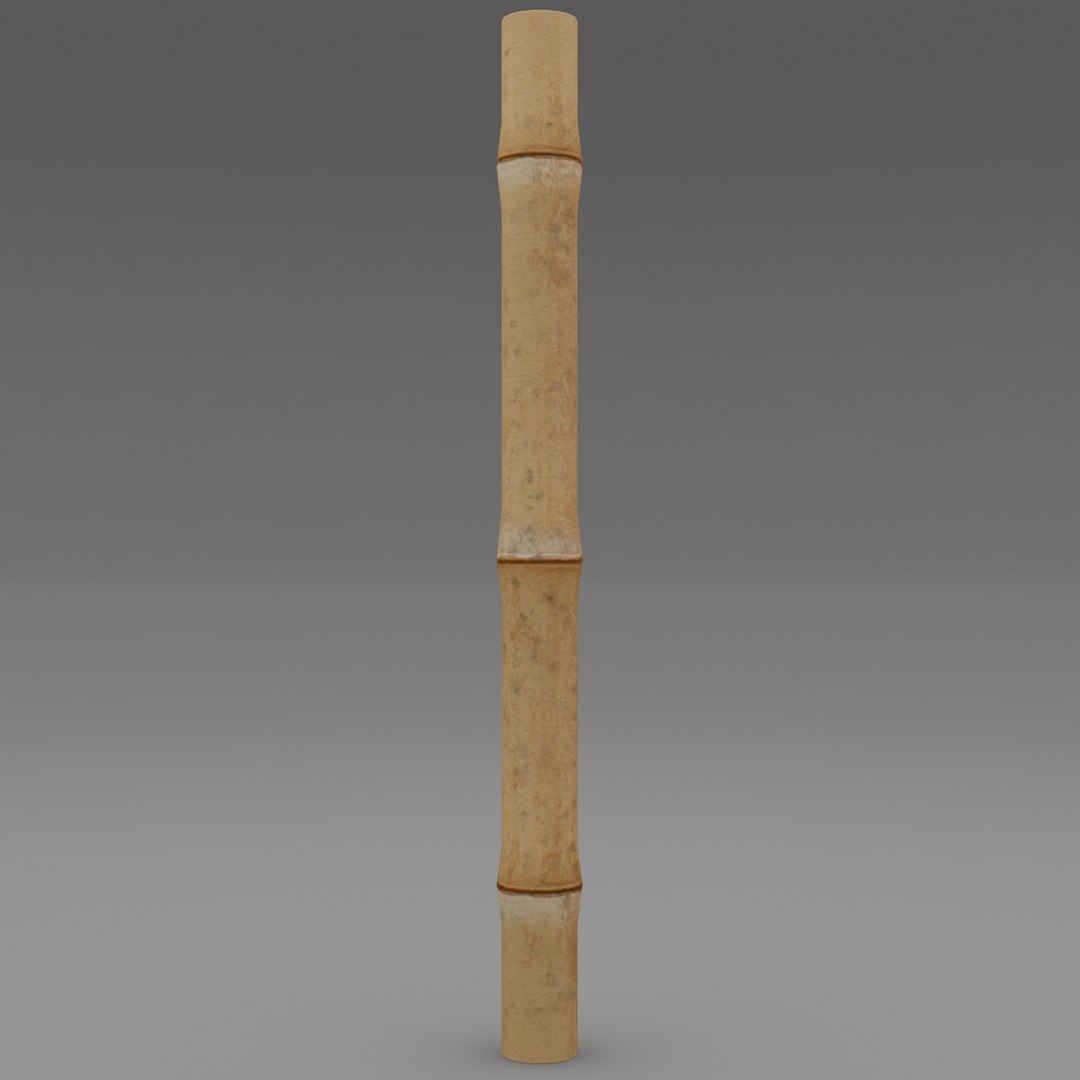 bamboo stem 3d model