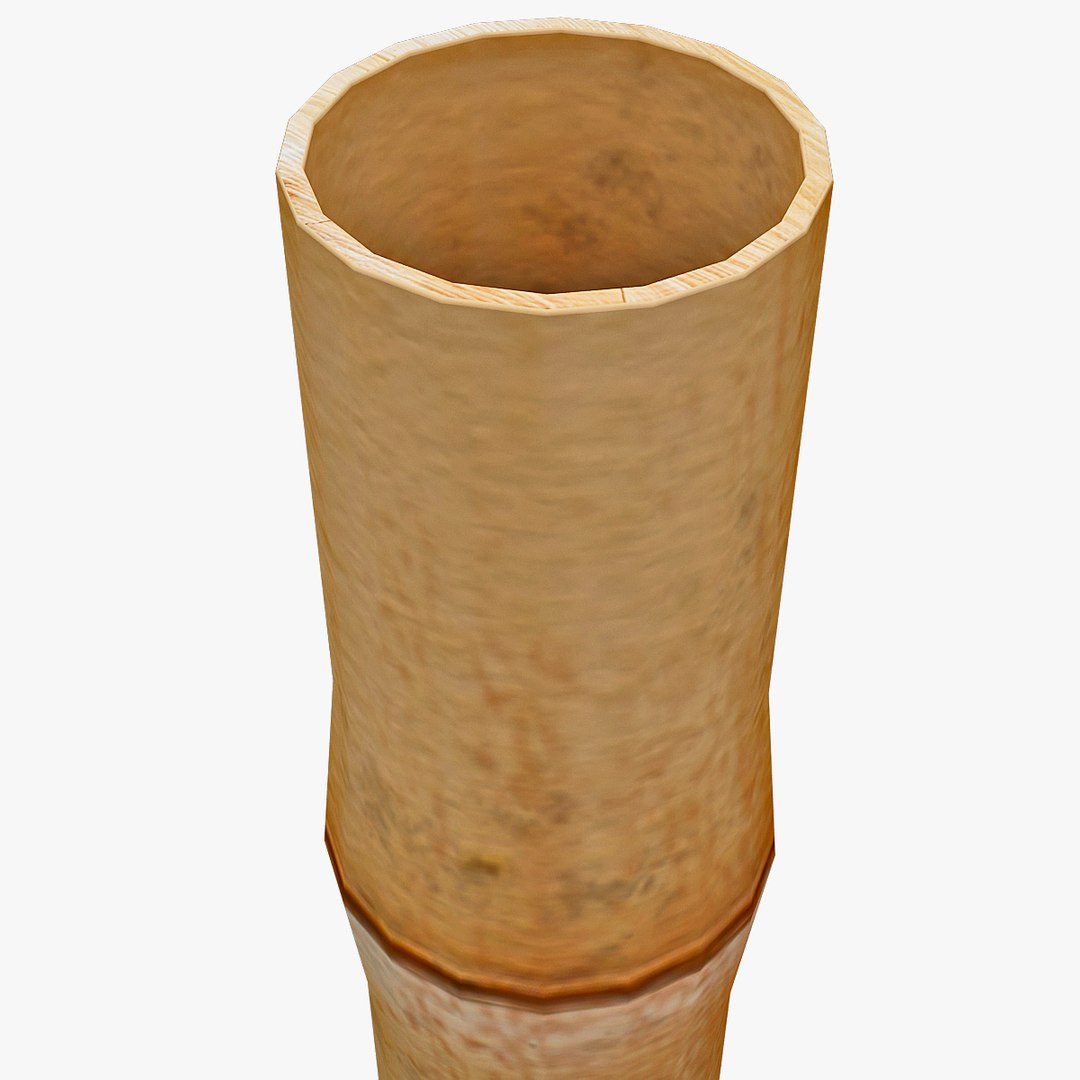 bamboo stem 3d model