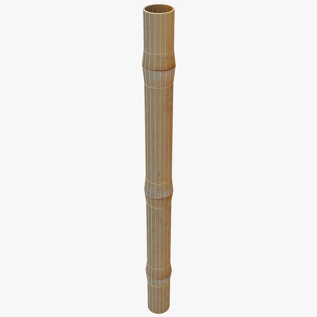 Bamboo Stem 3d Model