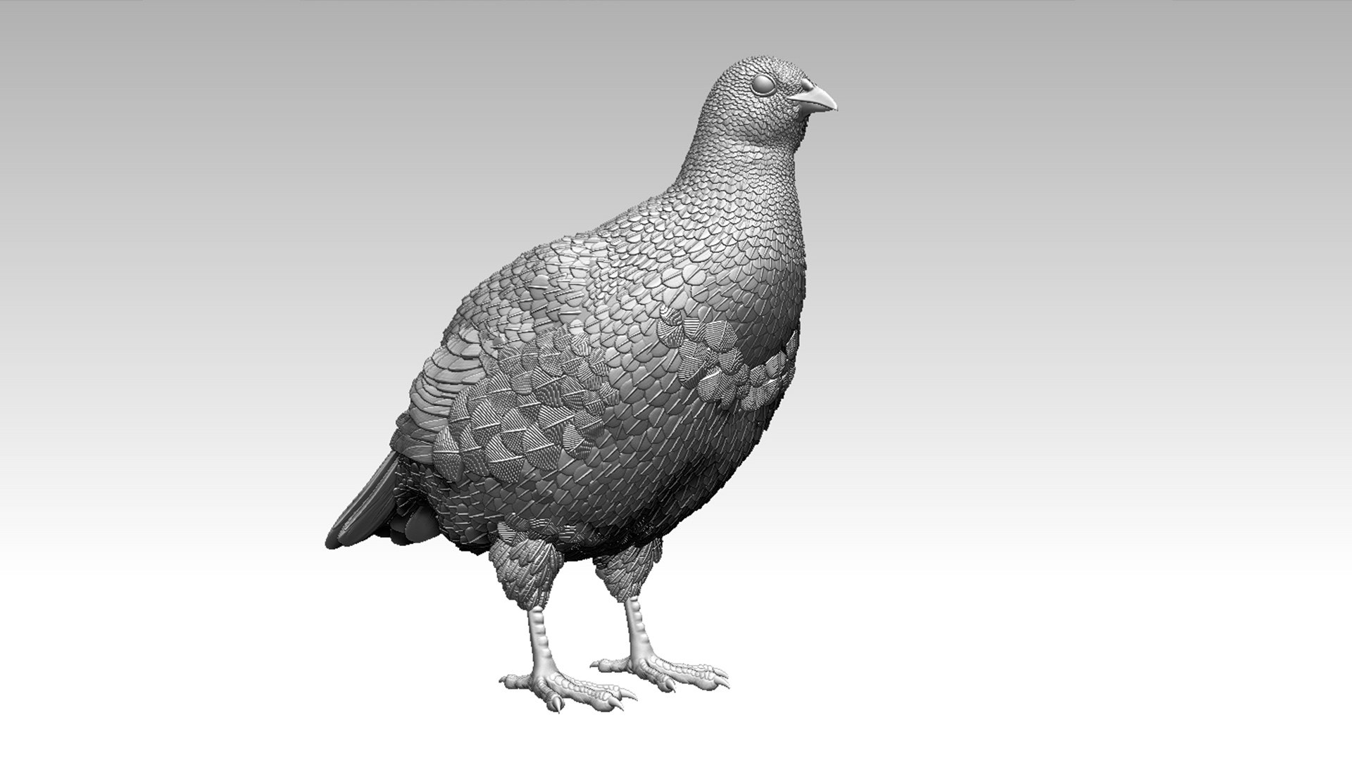 3D Partridge Model - TurboSquid 2120493