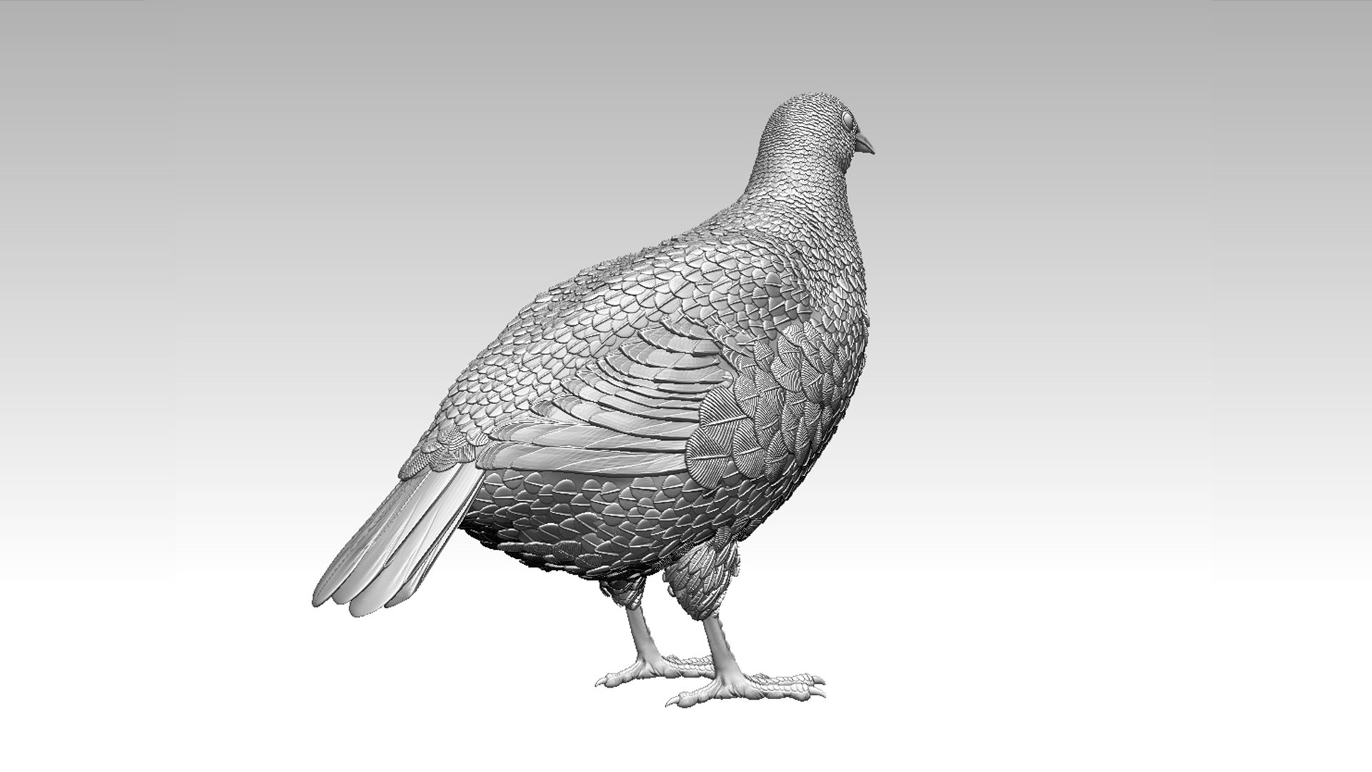 3D Partridge Model - TurboSquid 2120493