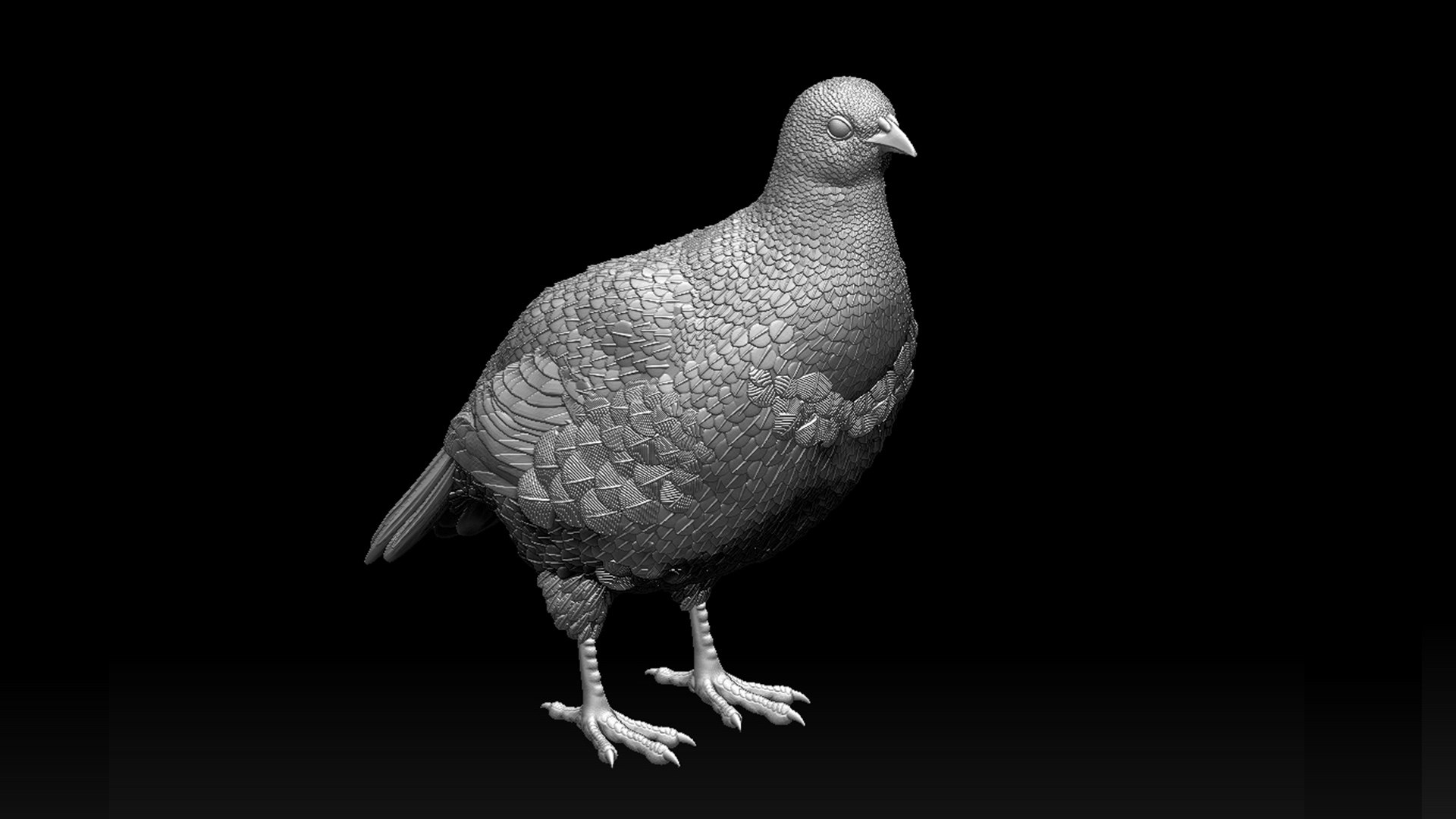 3D Partridge Model - TurboSquid 2120493