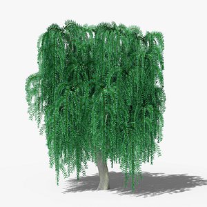 Low Poly Willow Tree 3D Models for Download | TurboSquid