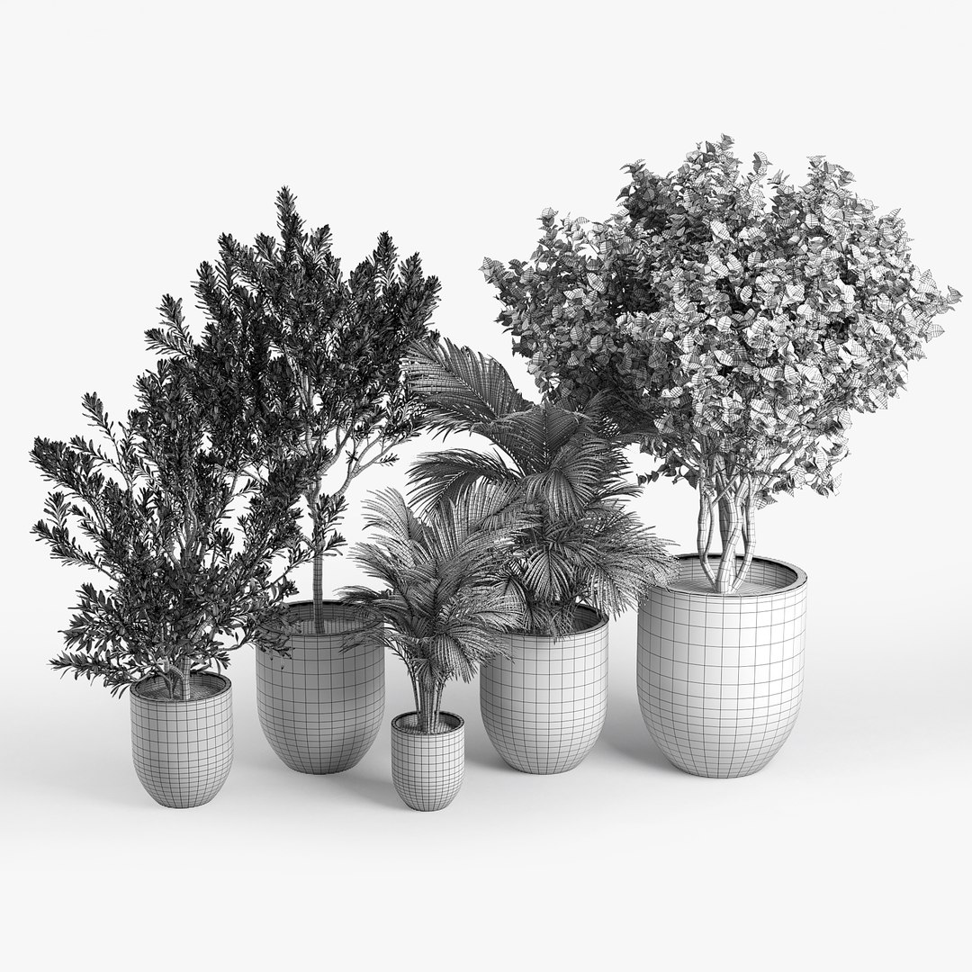 Tree bush plants 3D model - TurboSquid 1653017