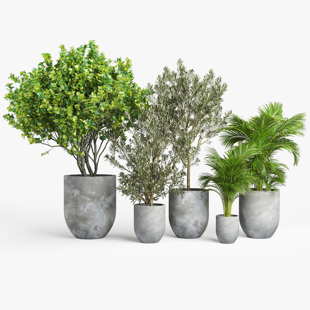 Tree bush plants 3D model - TurboSquid 1653017