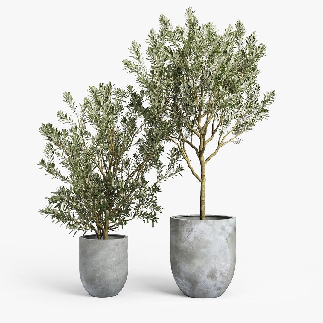 Tree bush plants 3D model - TurboSquid 1653017