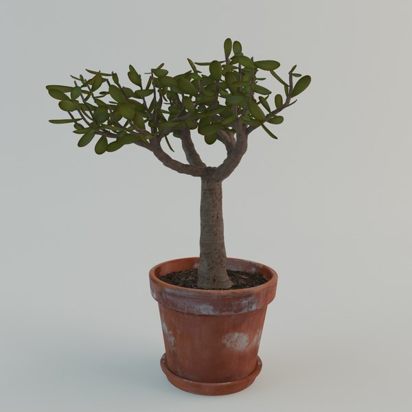 3d model small tree plant pot