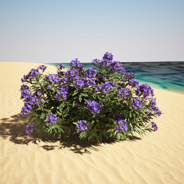 3D Oleander Models | TurboSquid