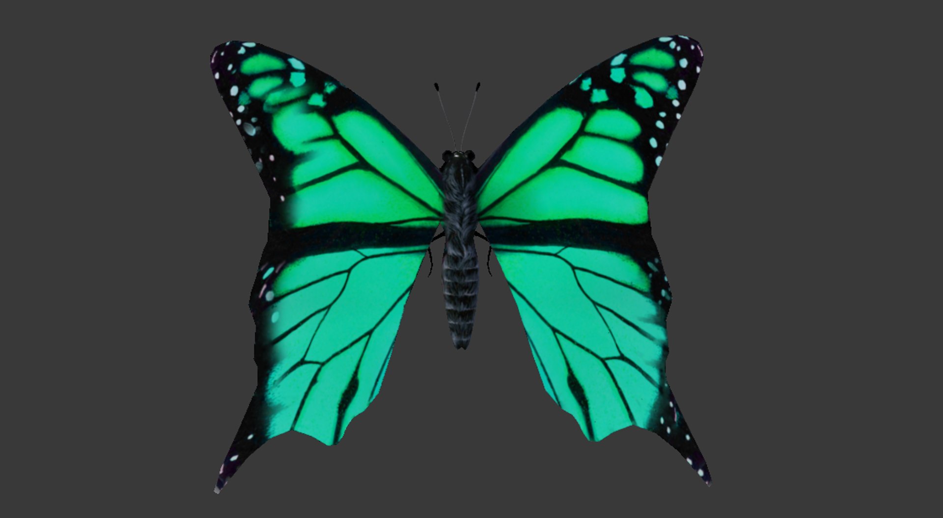 Butterfly Animations Flying 3D - TurboSquid 1322210