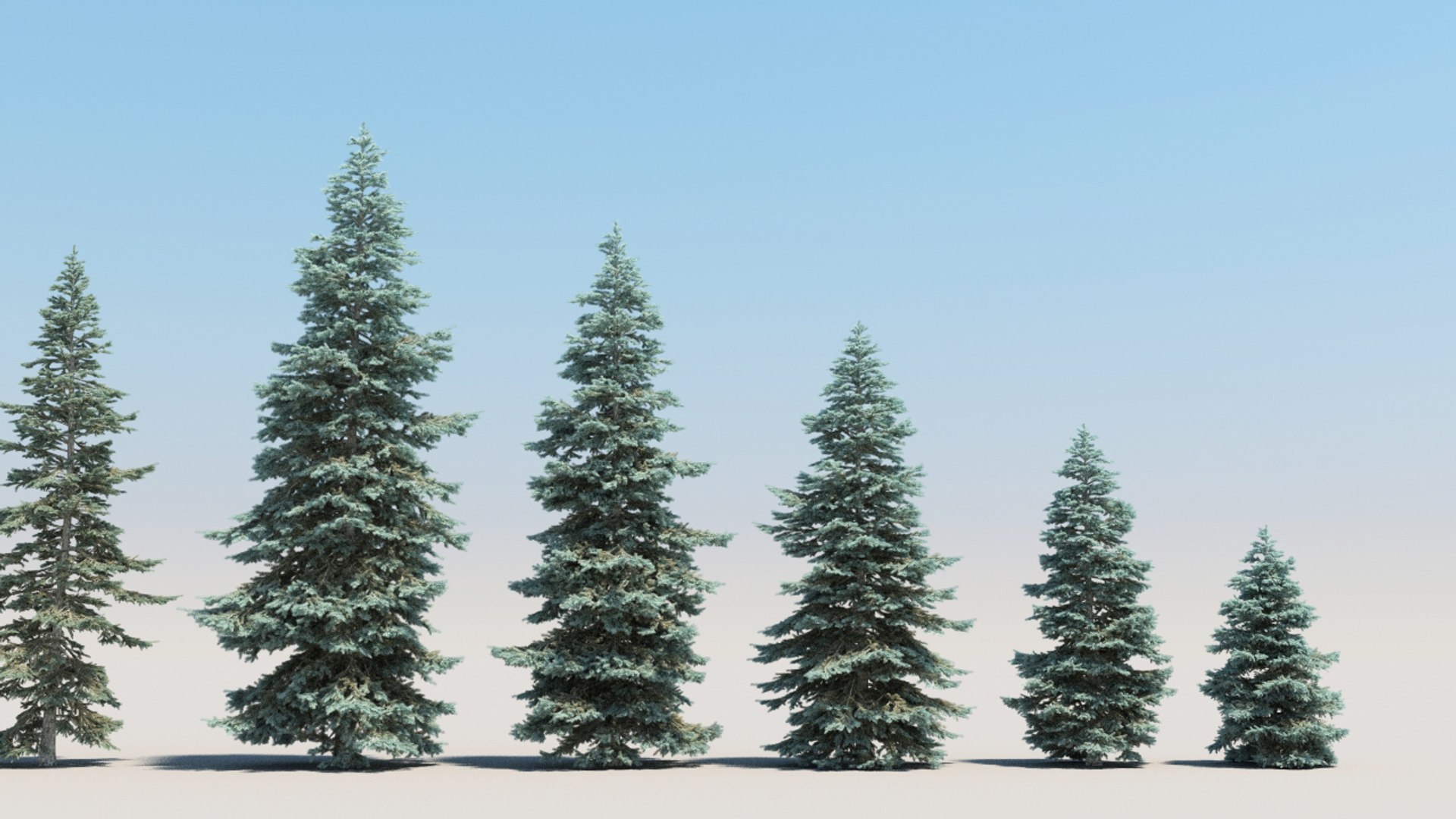 3d 20 Spruce Trees