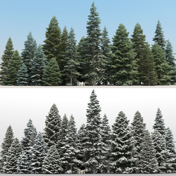 Free Pine Tree 3D Models for Download | TurboSquid