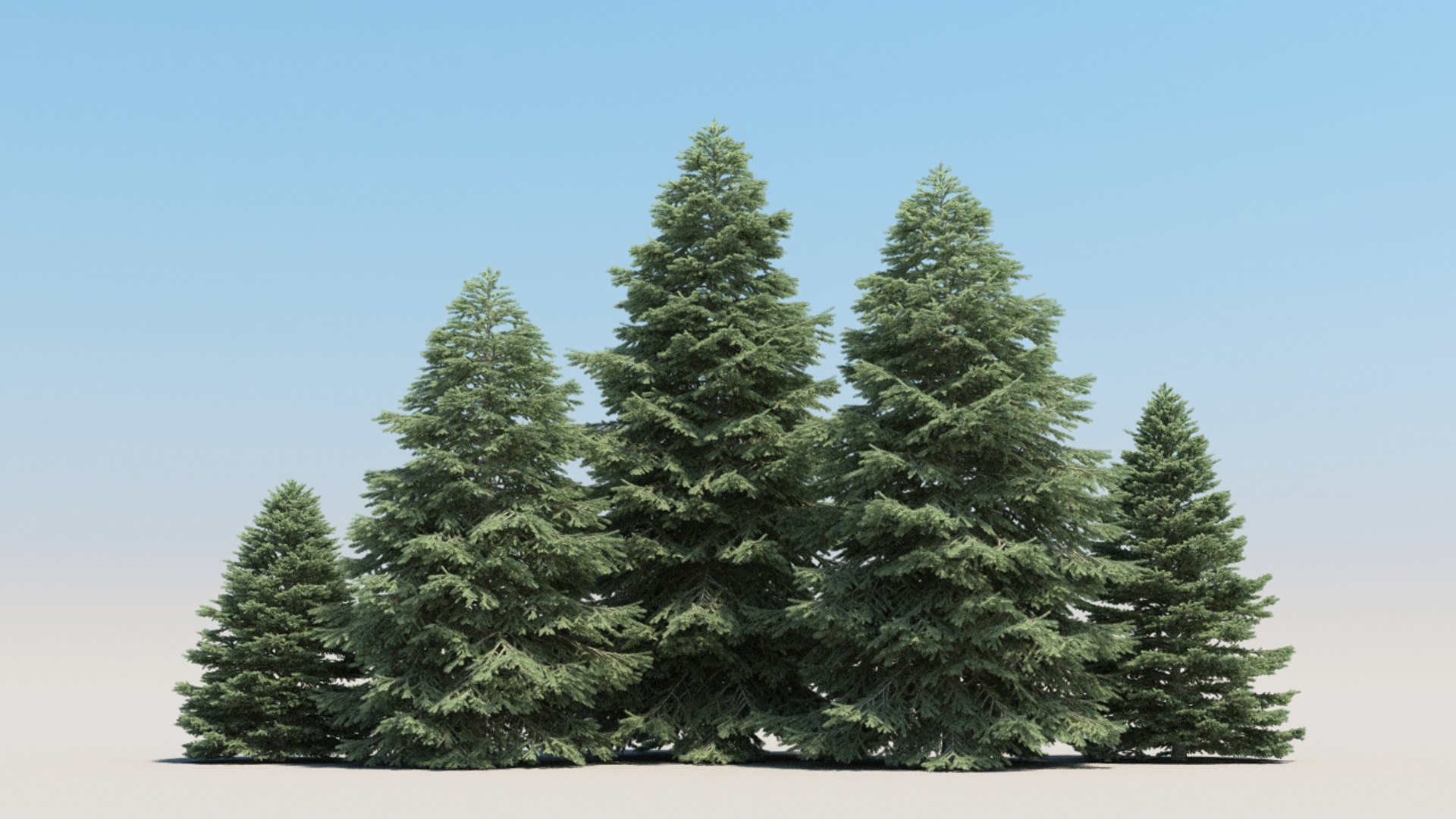 3d 20 spruce trees