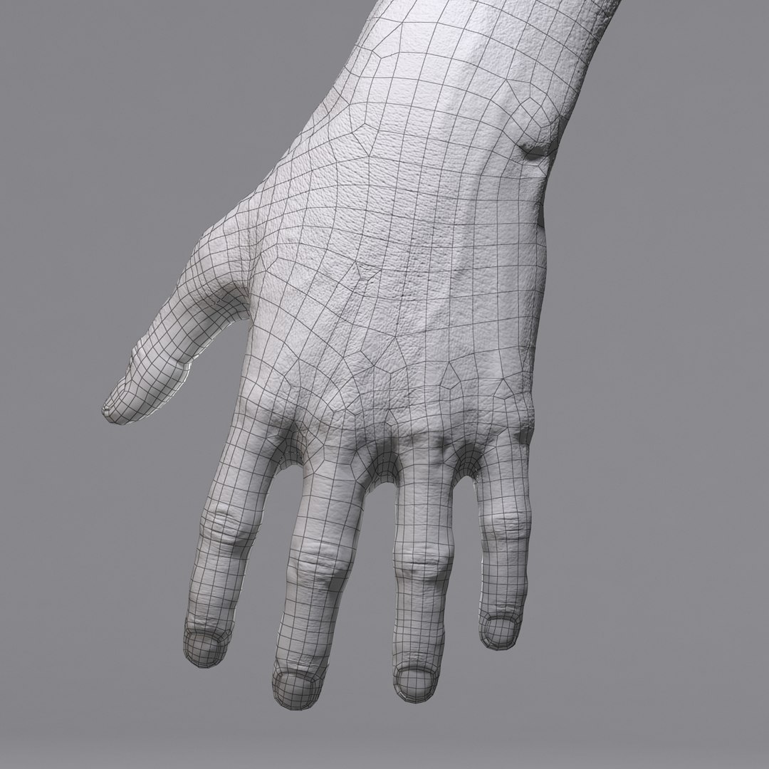 Hands Skin 3d Max