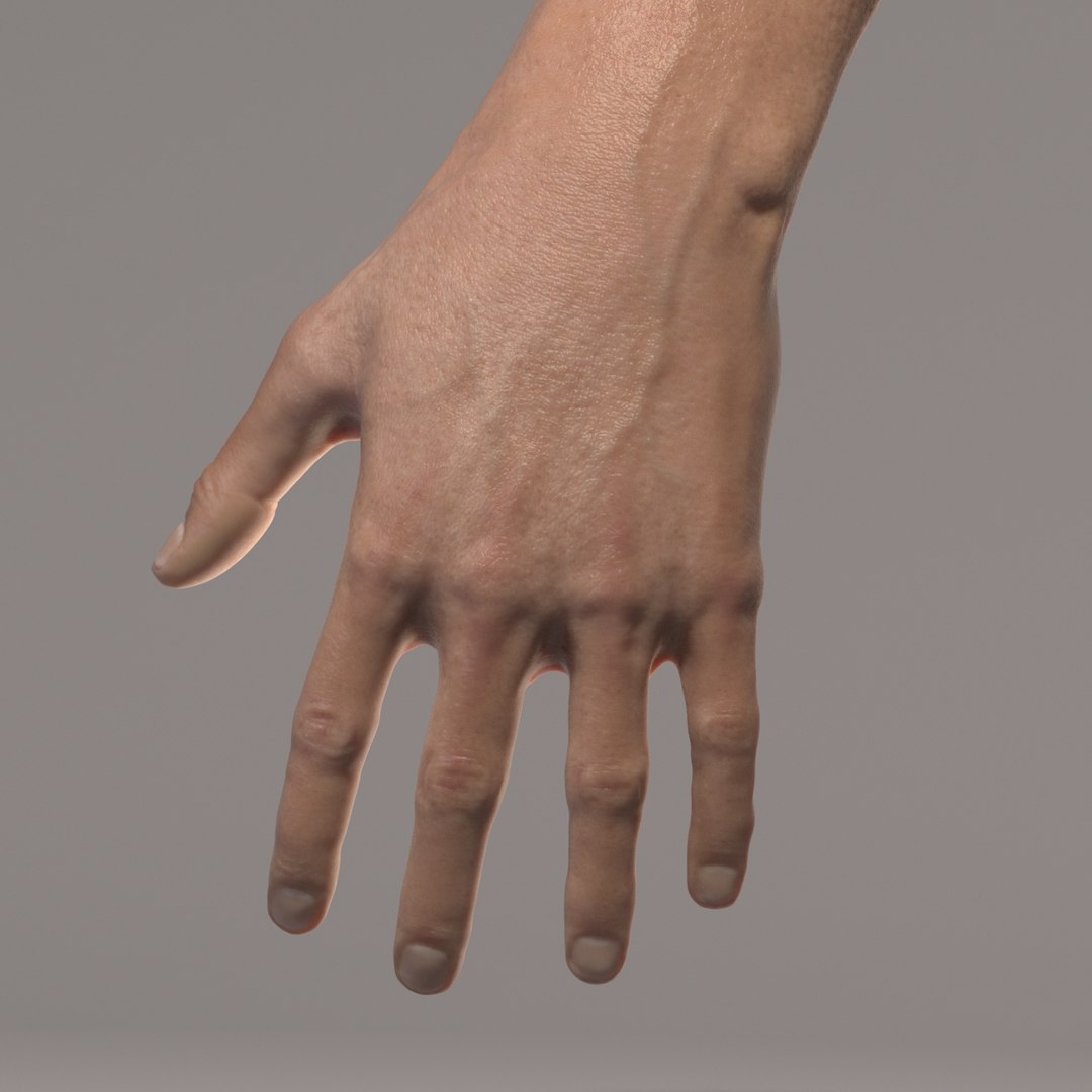 Hands Skin 3d Max
