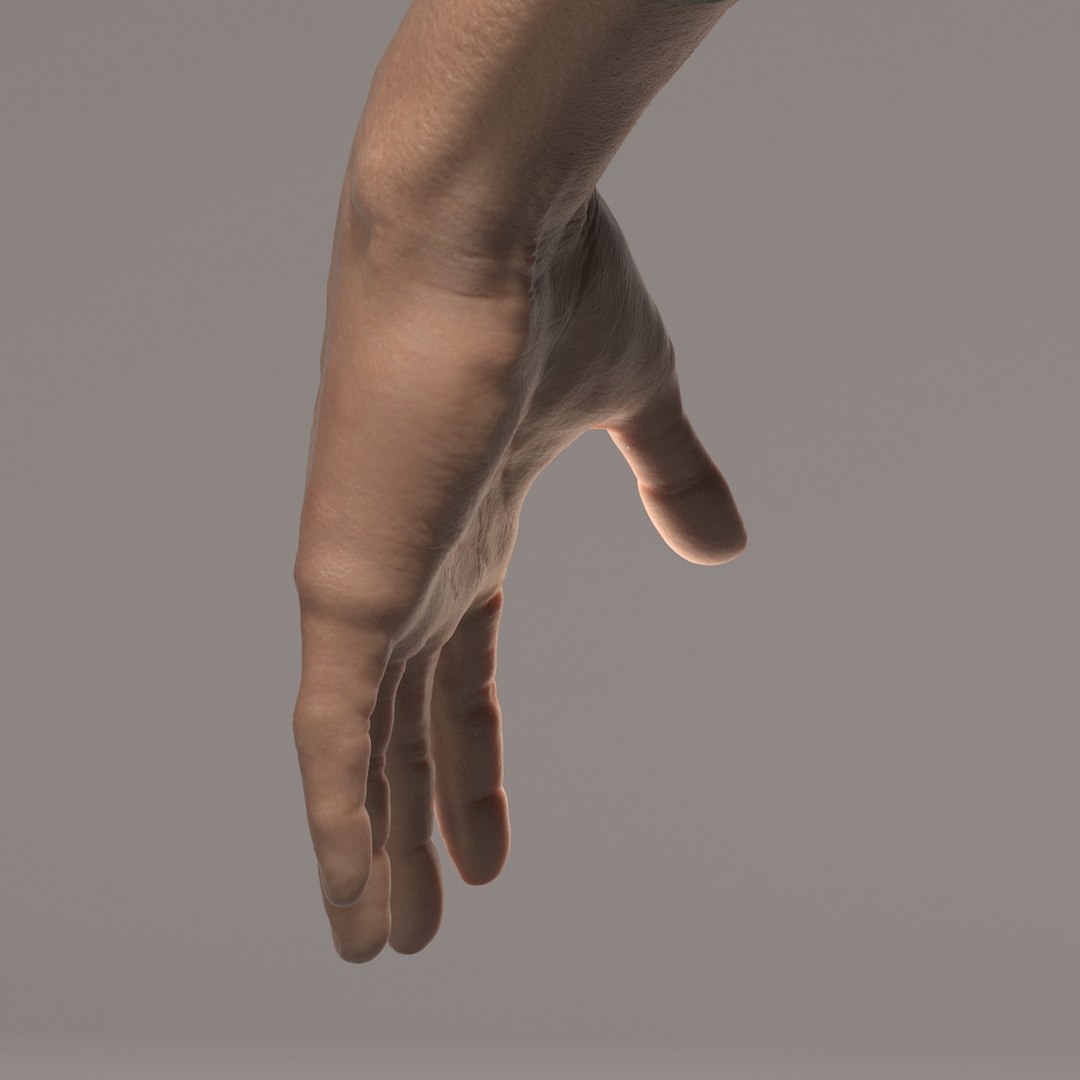 Hands Skin 3d Max