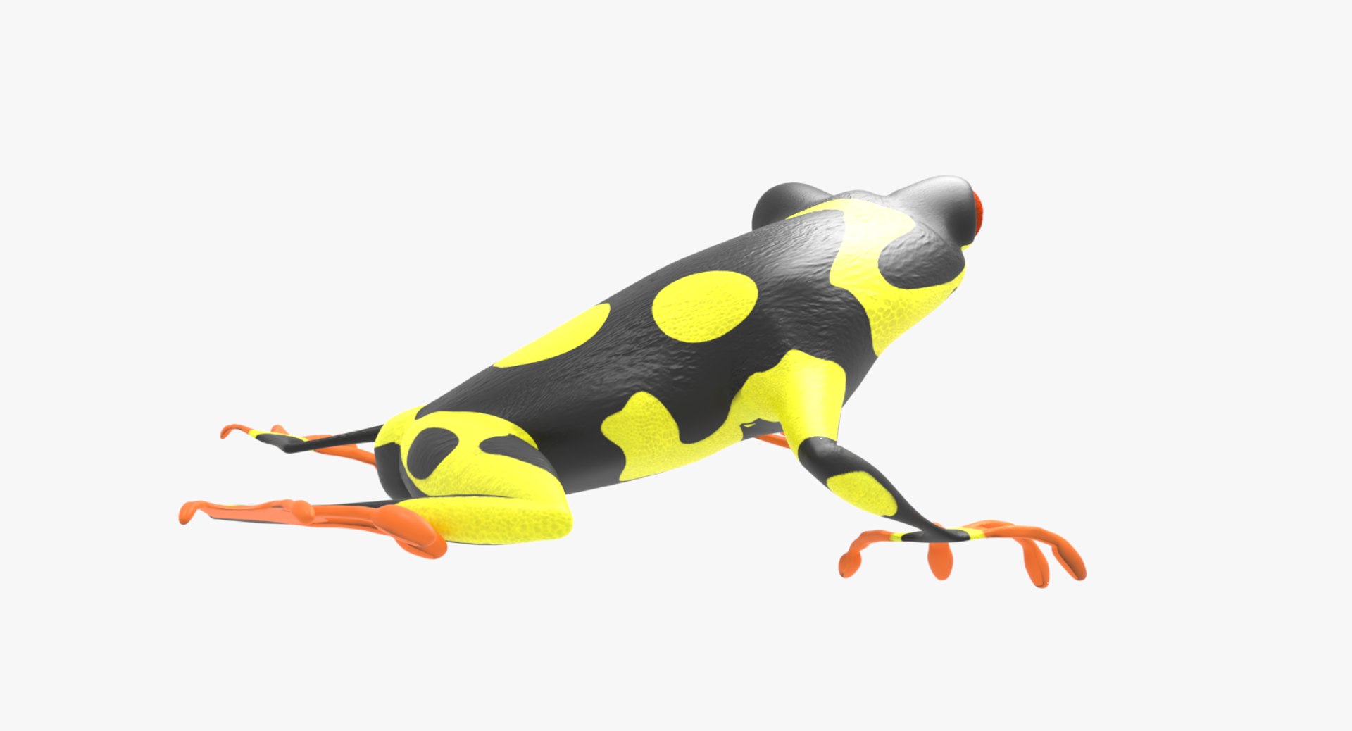 Free 3D Tree Frog Rigged Animation - TurboSquid 1384793