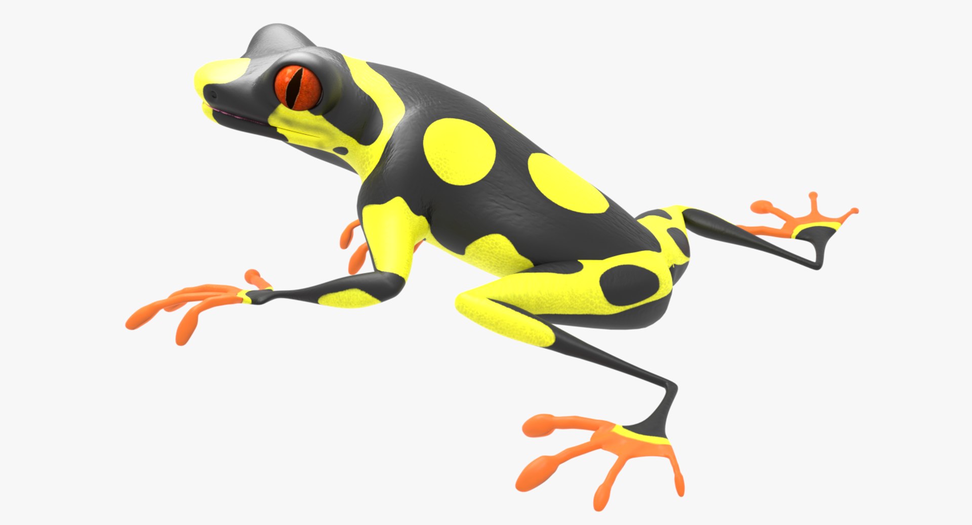 Free 3D Tree Frog Rigged Animation - TurboSquid 1384793