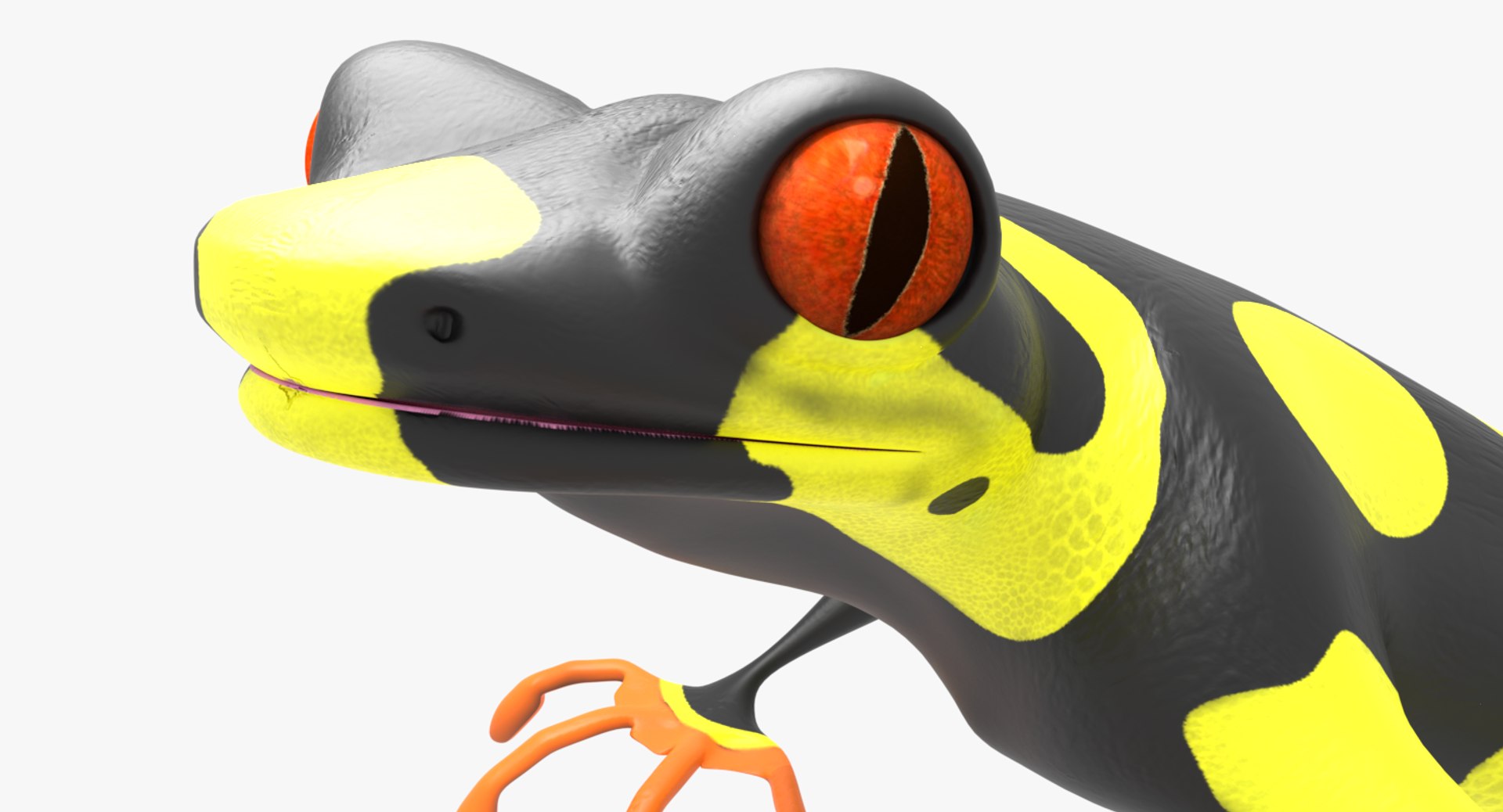 Free 3D Tree Frog Rigged Animation - TurboSquid 1384793