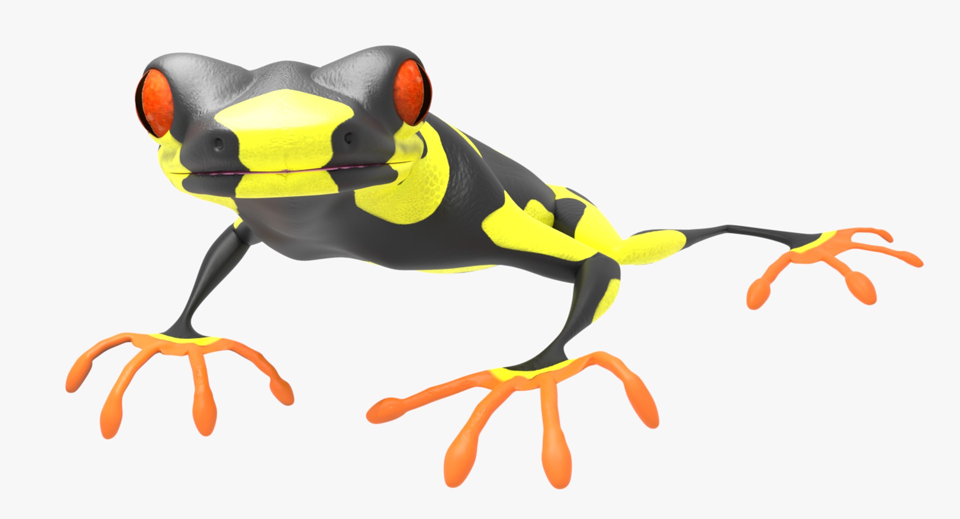 Free 3D Tree Frog Rigged Animation - TurboSquid 1384793