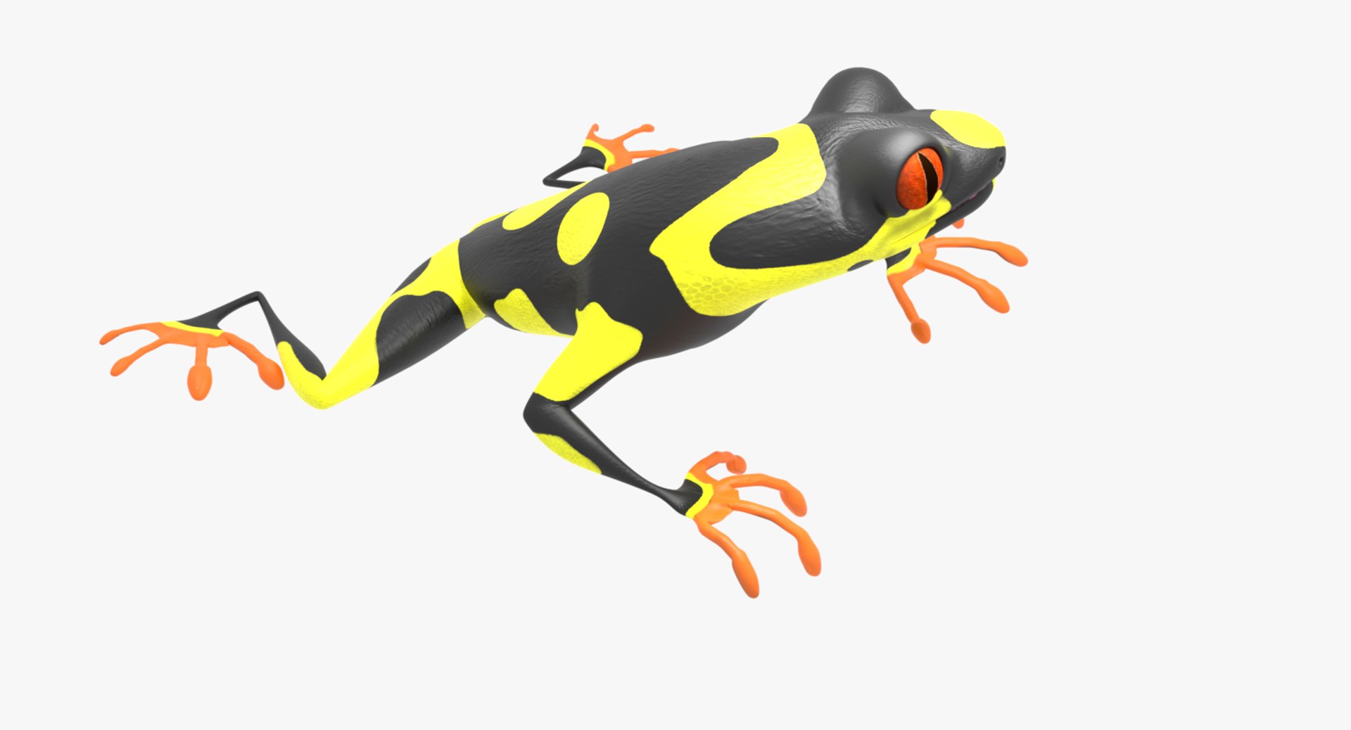Free 3D Tree Frog Rigged Animation - TurboSquid 1384793