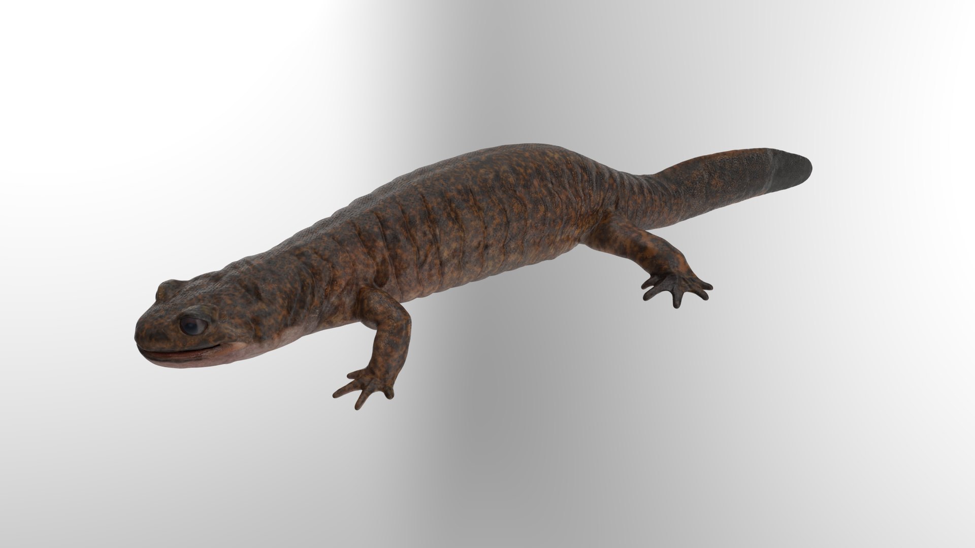 Tsushima Salamander 3D Model - TurboSquid 2192135