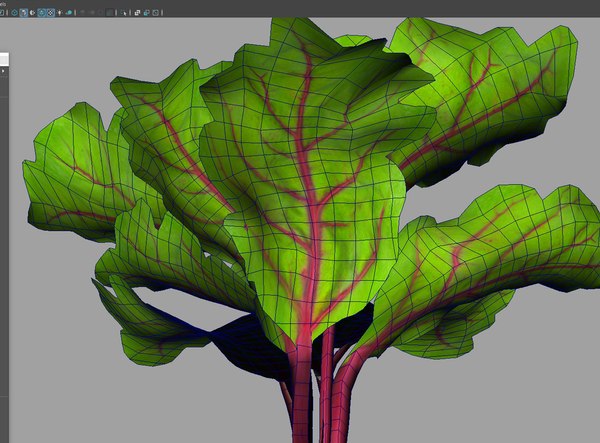 Free beet character rigged 3D model - TurboSquid 1274802