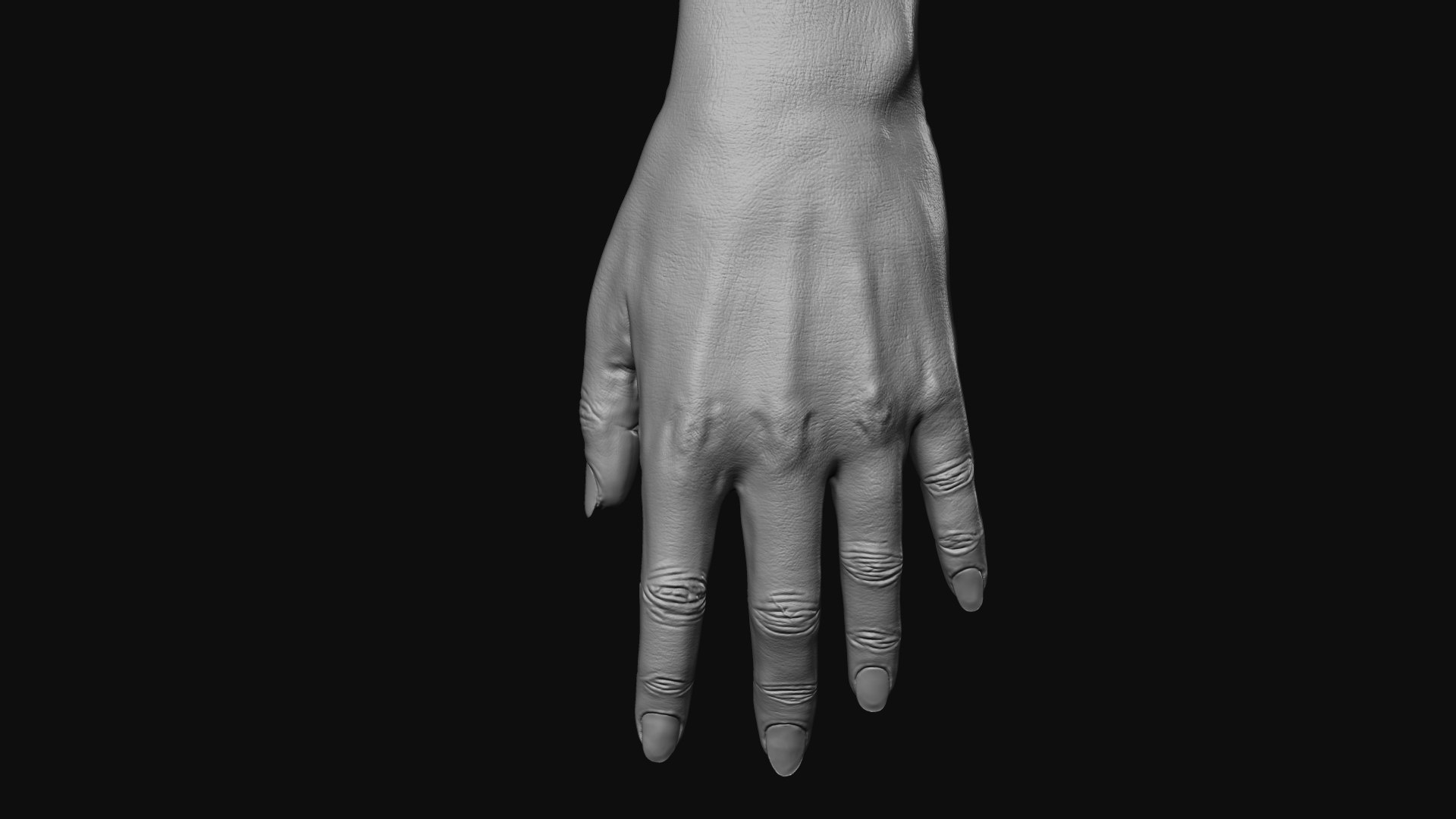 Hand Human High Detail 3D Model - TurboSquid 1916328