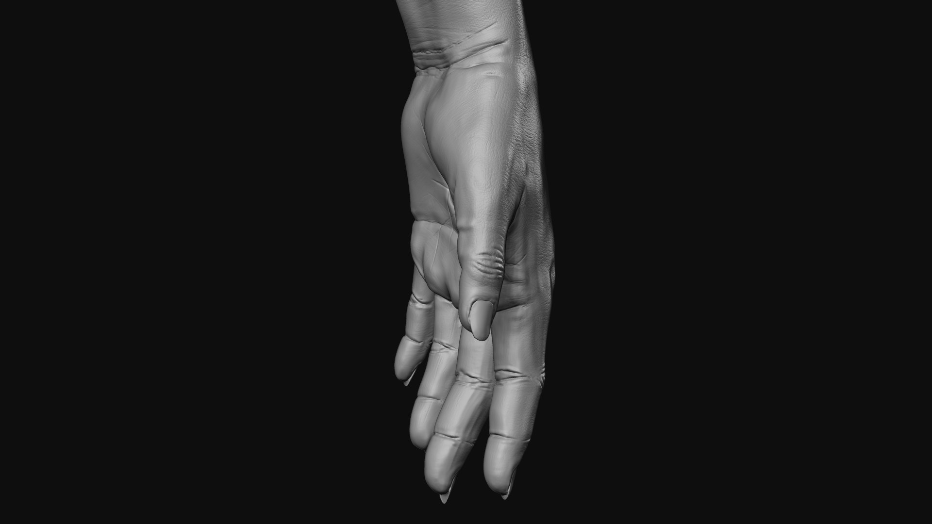 Hand Human High Detail 3D Model - TurboSquid 1916328
