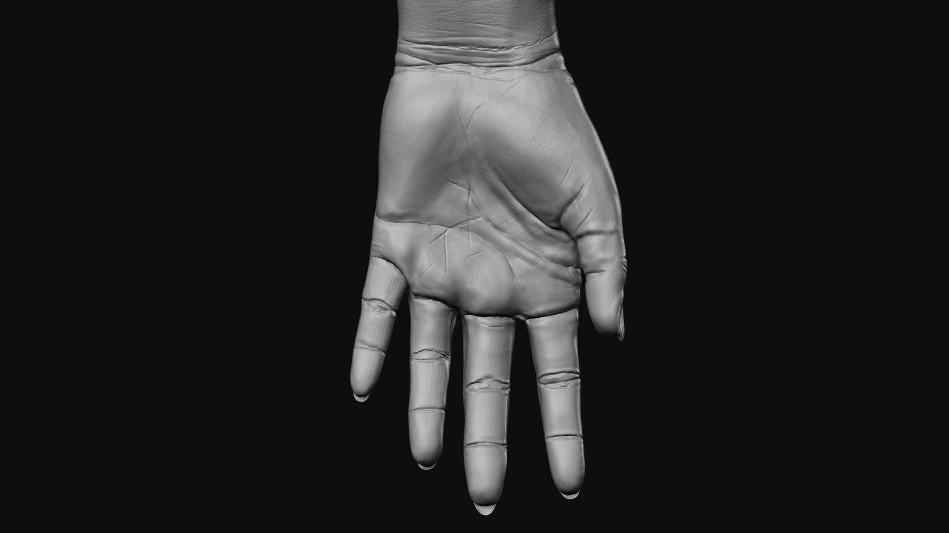 Hand Human High Detail 3D Model - TurboSquid 1916328