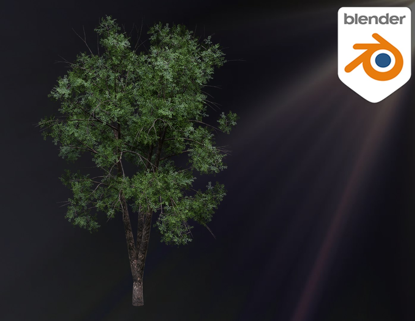3D Realistic Animated Tree Pack Blender 3 Model - TurboSquid 1850656