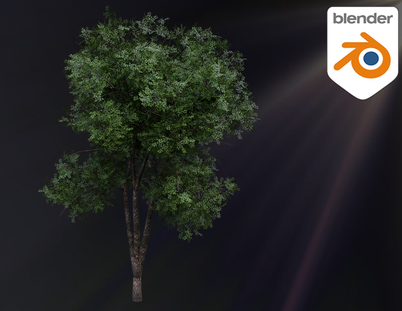 3D Realistic Animated Tree Pack Blender 3 Model - TurboSquid 1850656